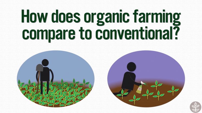 Organic Farming Methods